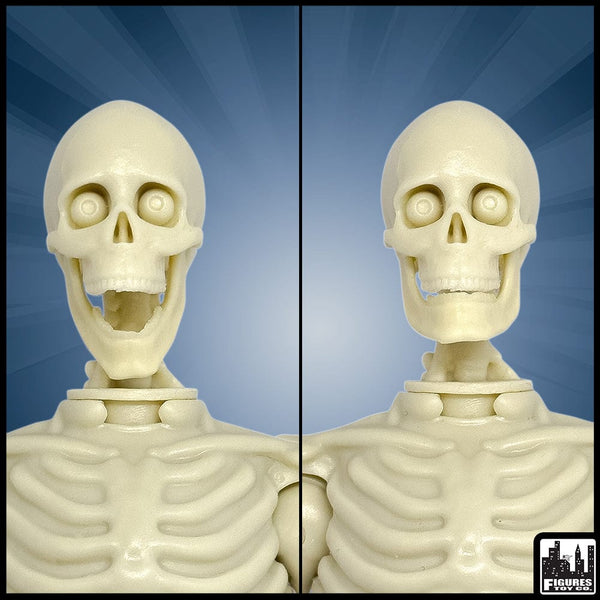 Super Articulated 8 Inch Skeleton Action Figure - Figures Toy Company